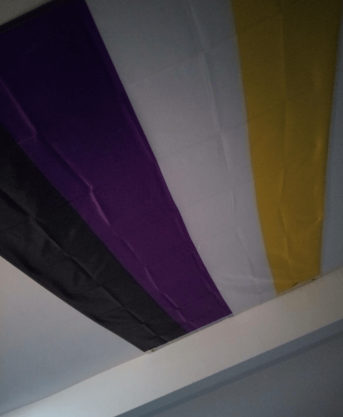 Fly Breeze 3x5 Foot Non-Binary Pride Flag - Anley Flags