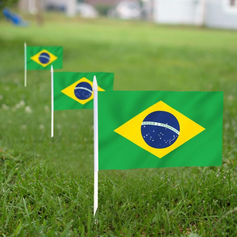 Brazil Stick Flags 5x8 Inch (Pack of 12) - Anley Flags