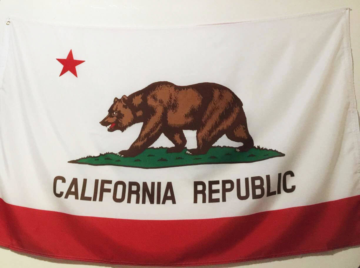 California State Flag | 3 x 5 Foot Republic Bear Flag for Sale