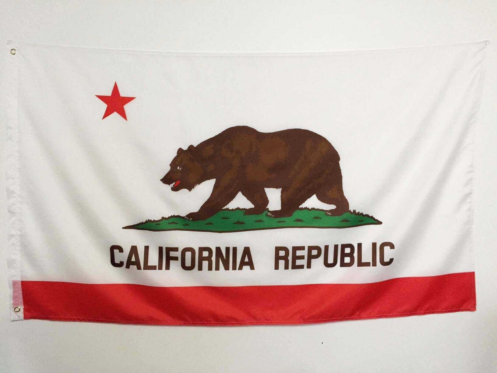California State Flag | 3 x 5 Foot Republic Bear Flag for Sale