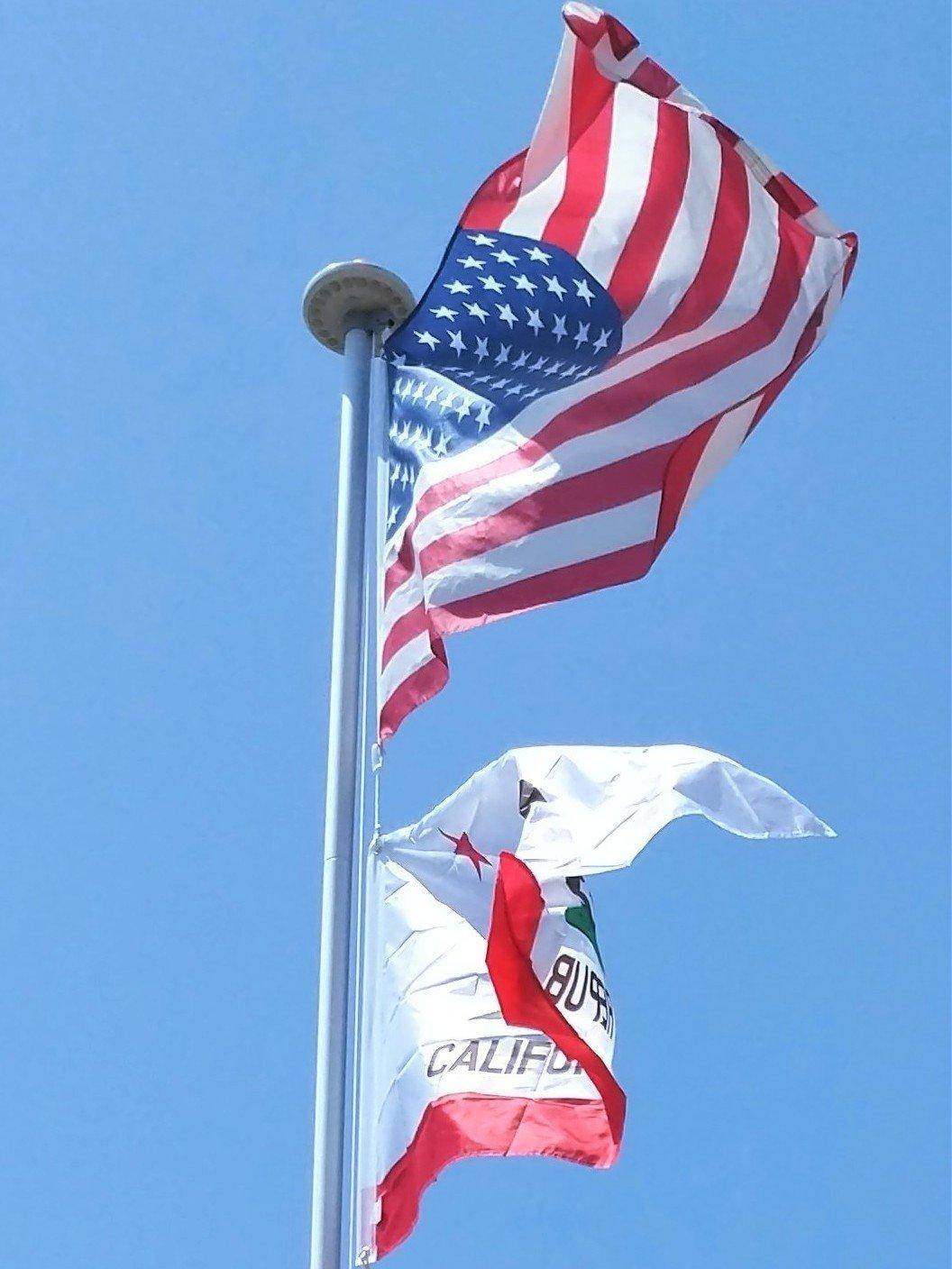 Flagpole Clip Snaps Hook - Anley Flags