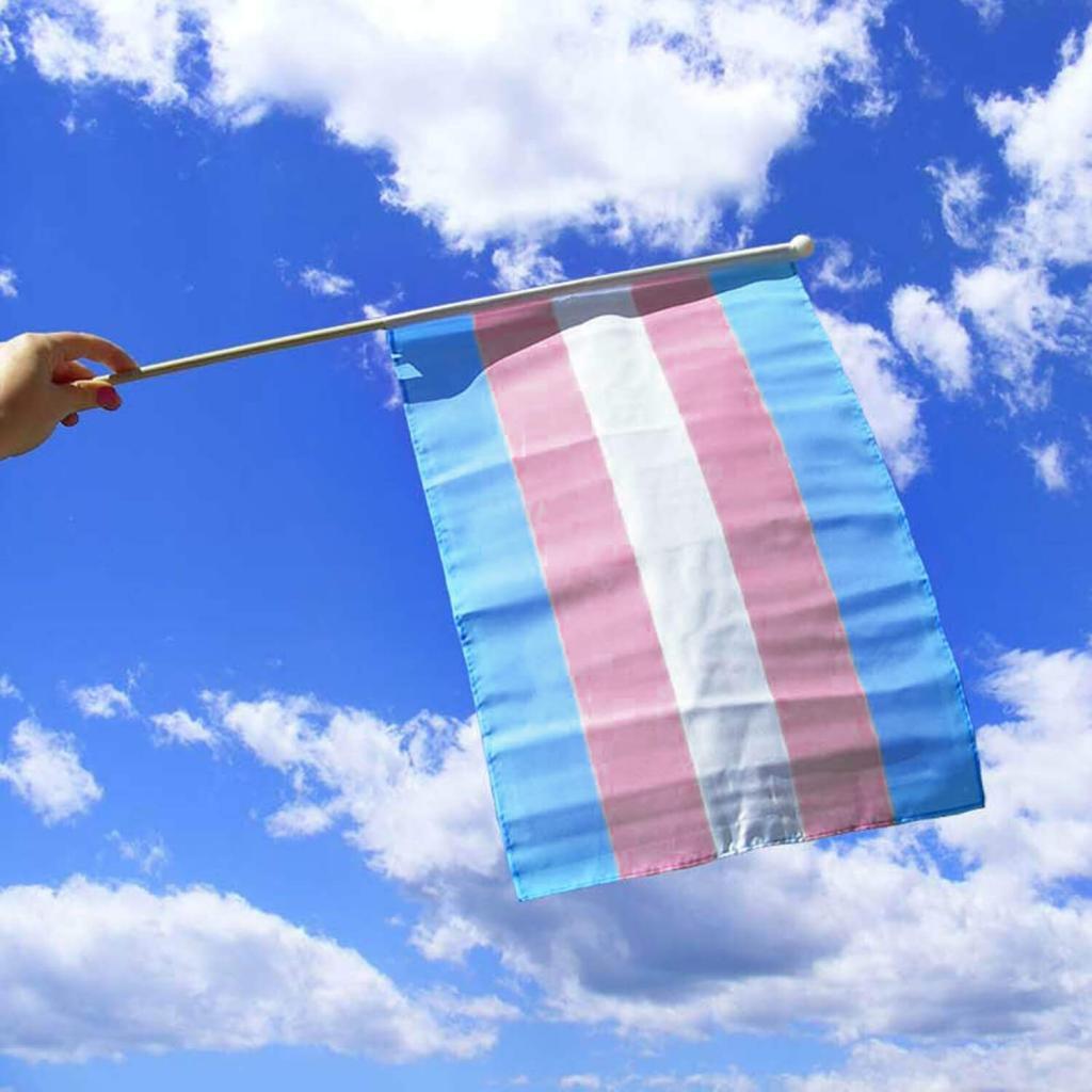 Transgender Stick Flags 5x8 Inch (Pack of 12) - Anley Flags