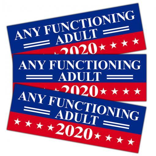 Any Functioning Adult 2020 Decal 9x3 Inch - Free Shipping - Anley Flags