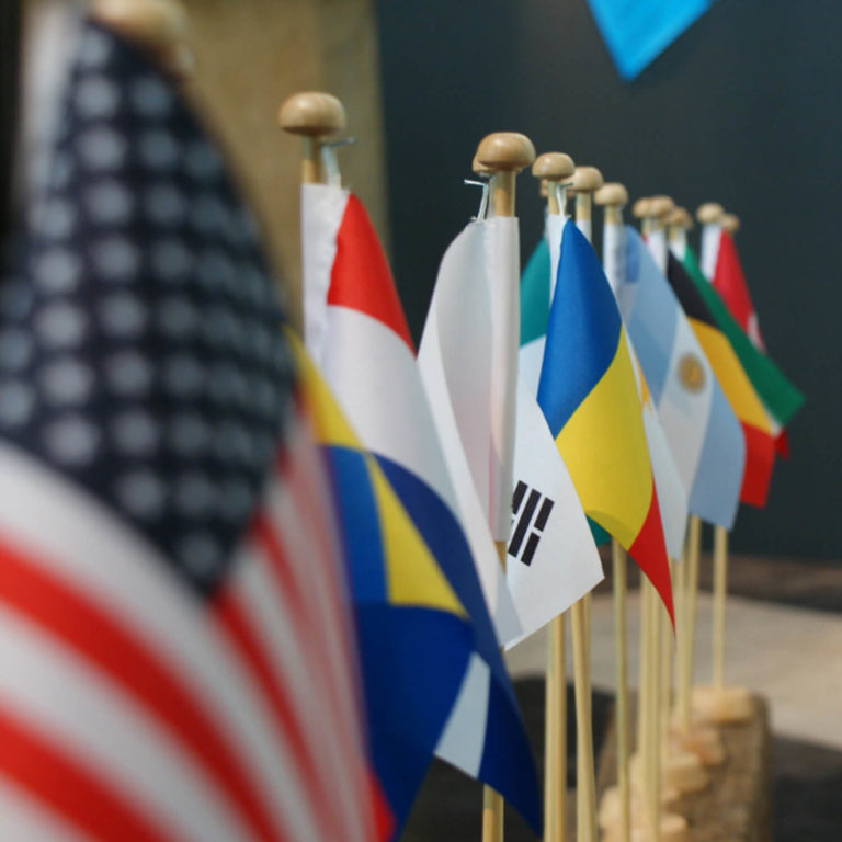 Custom Mini Flag - Personalized Handheld Stick Flag - Anley Flags