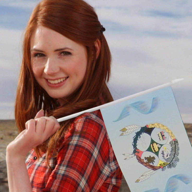 Custom Mini Flag - Personalized Handheld Stick Flag - Anley Flags