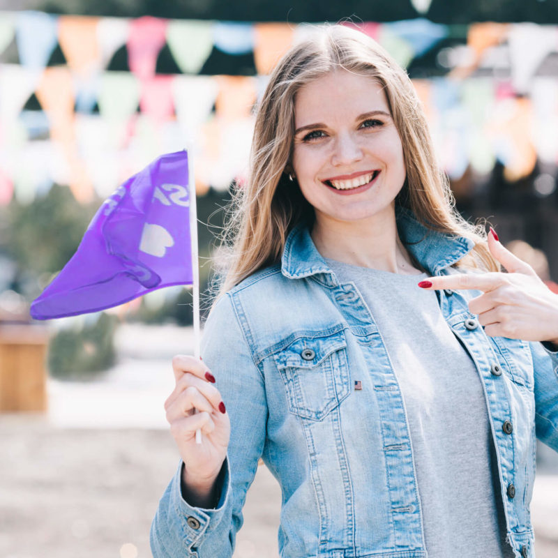 Custom Mini Flag - Personalized Handheld Stick Flag - Anley Flags