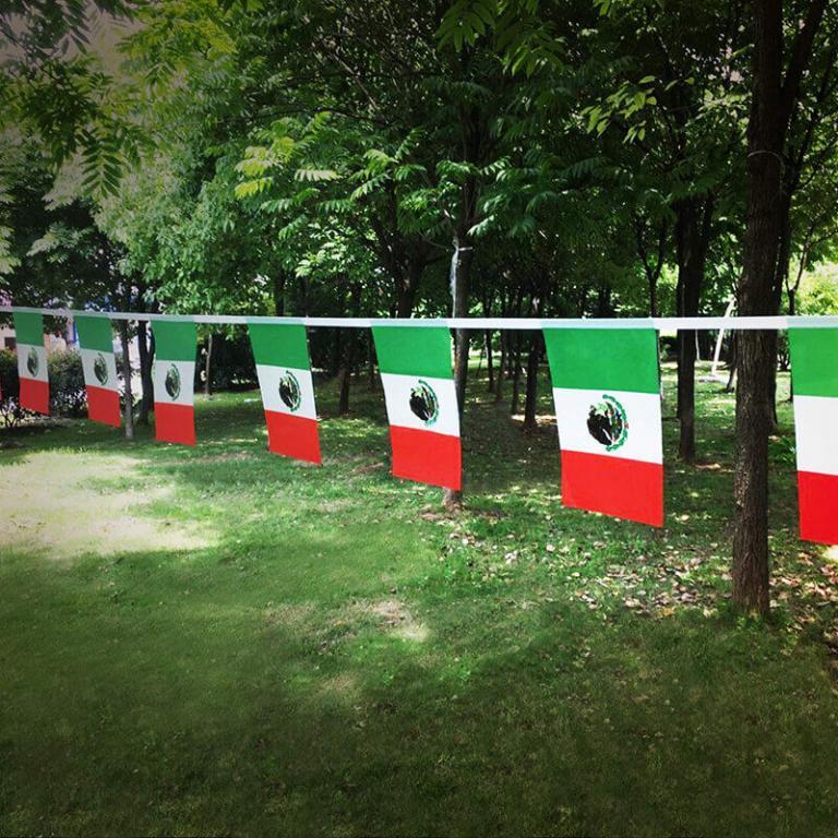 Mexico String Flags Pennant Banners 33 Feet 38 Flags (5.5x8 Inch ...