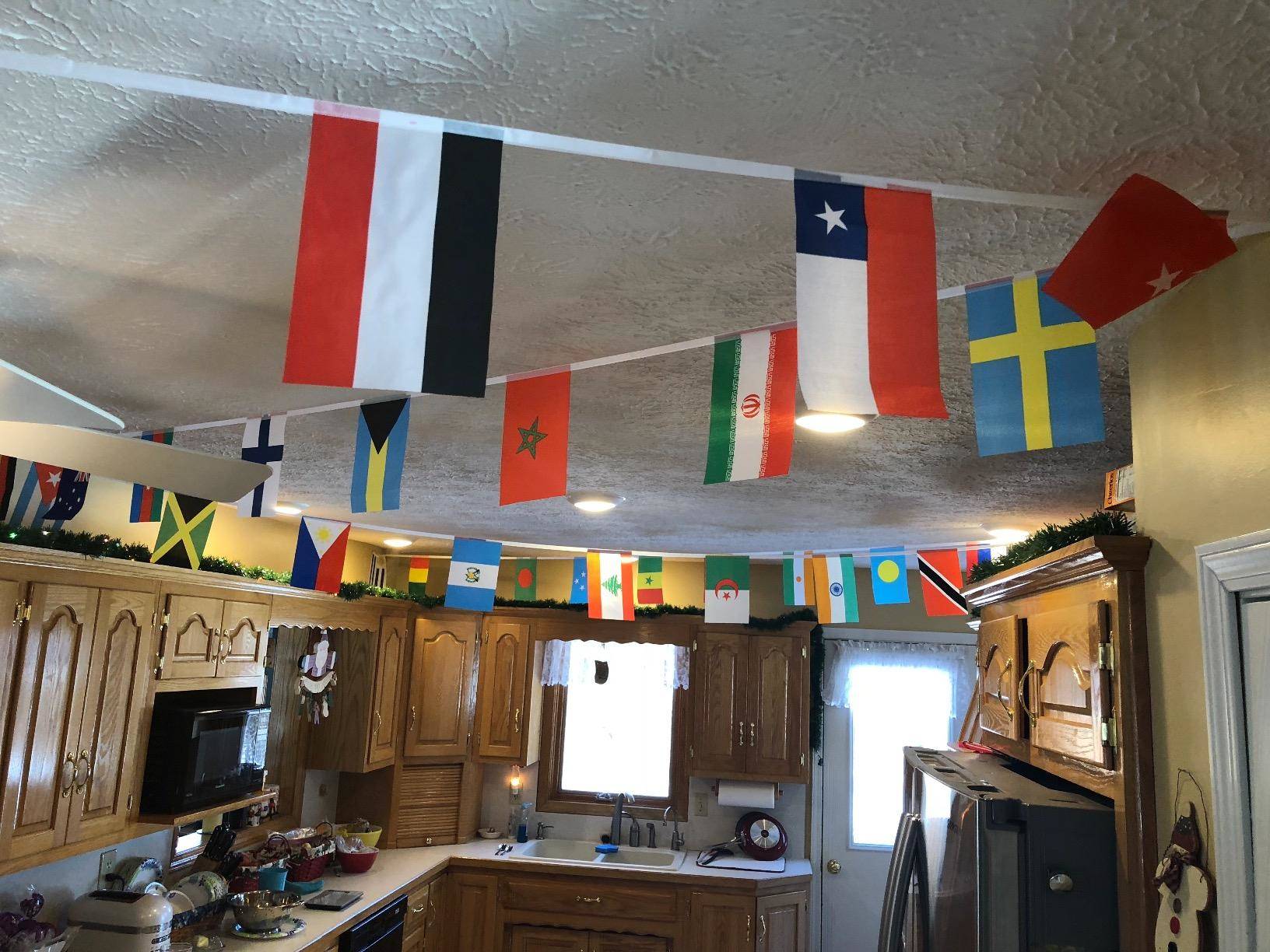 100 Random Countries 82 Feet String Flags (5.5x8 Inch) - Anley Flags