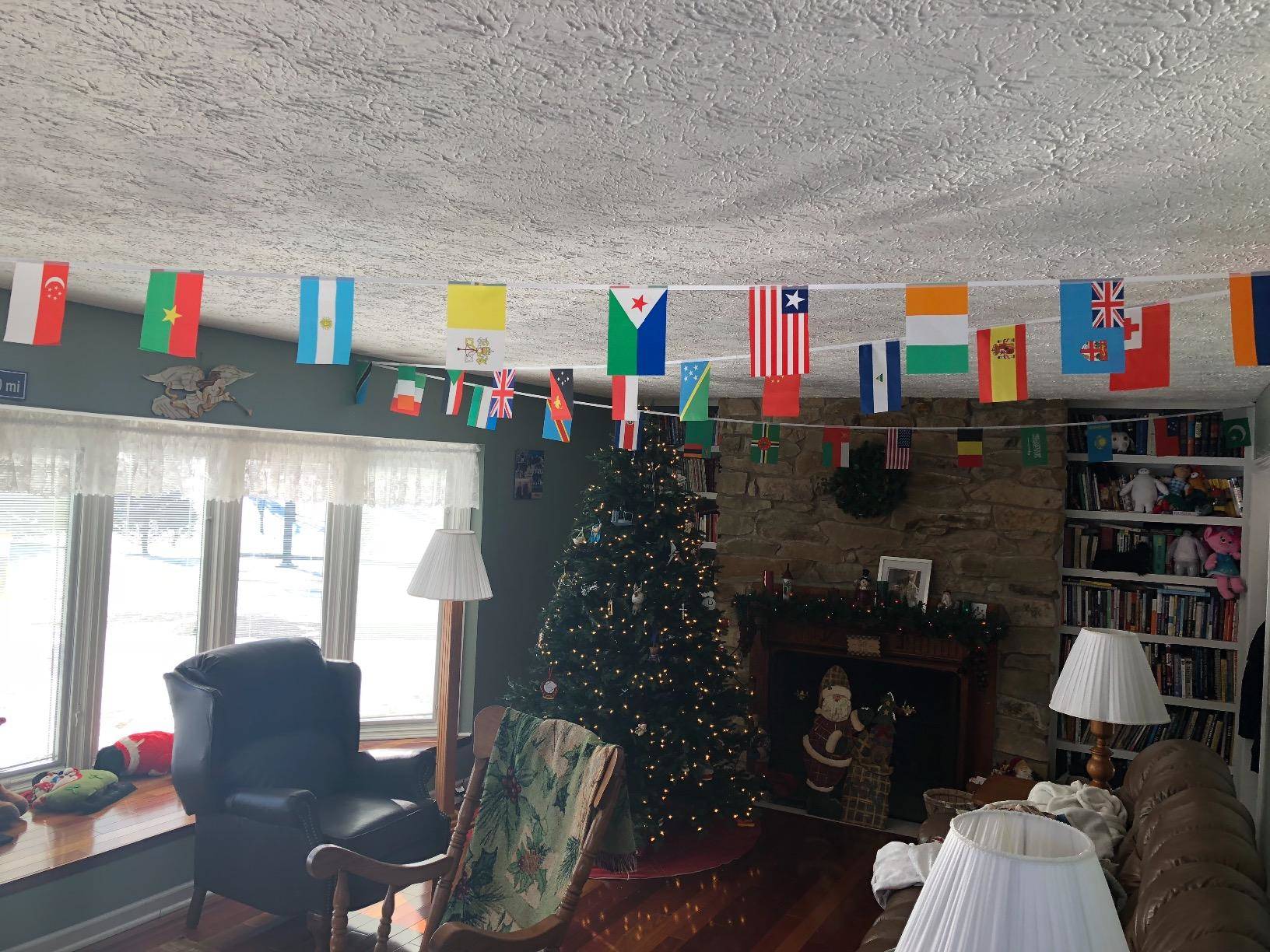 100 Random Countries 82 Feet String Flags (5.5x8 Inch) - Anley Flags