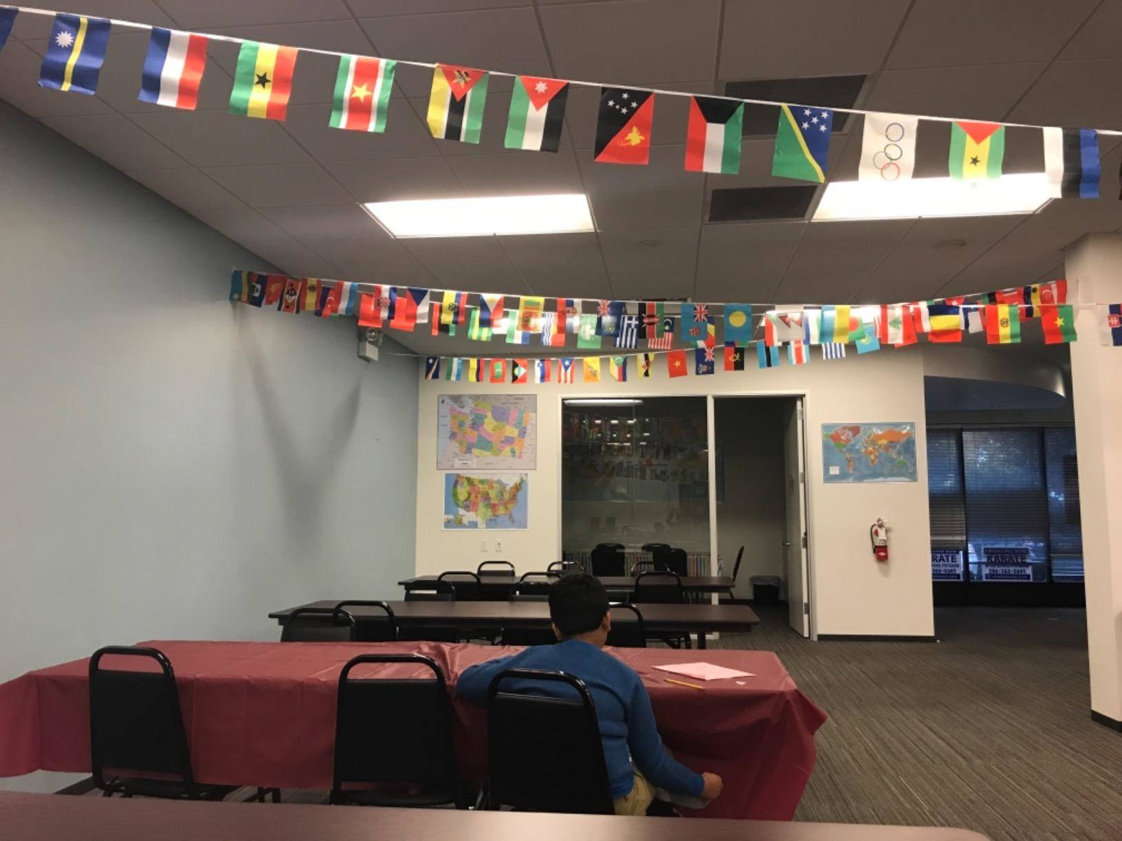 100 Random Countries 82 Feet String Flags (5.5x8 Inch) - Anley Flags