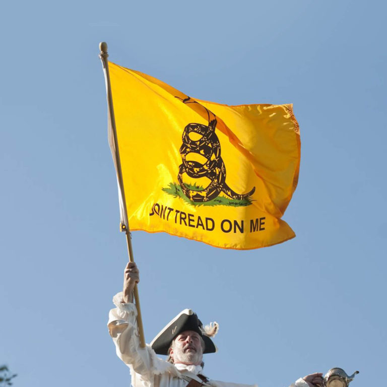 Embroidery Gadsden Flag for Sale | Don't Tread on Me Gadsden Flag