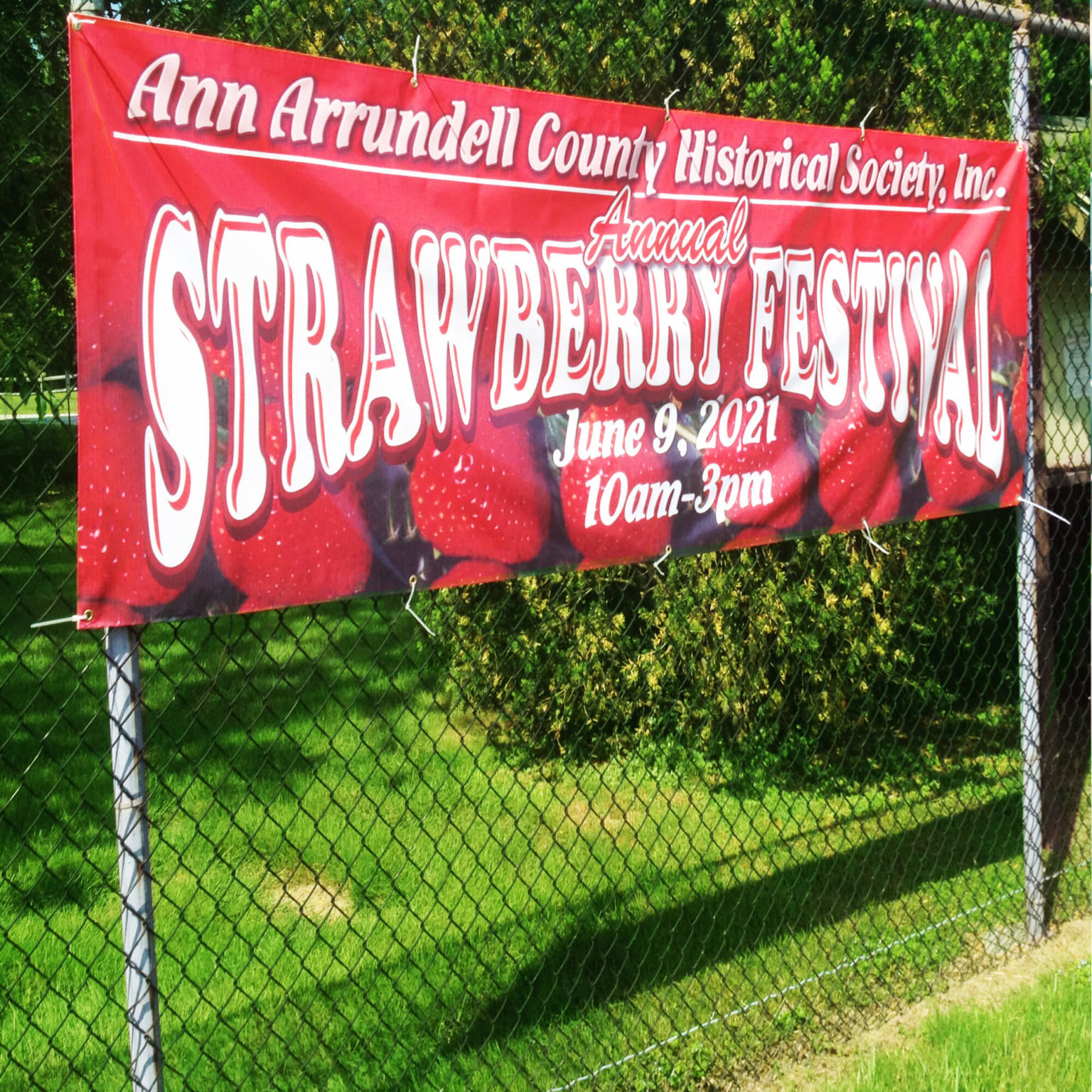 Custom Vinyl Banner Printing & FREE Designer Service | Anley Flags