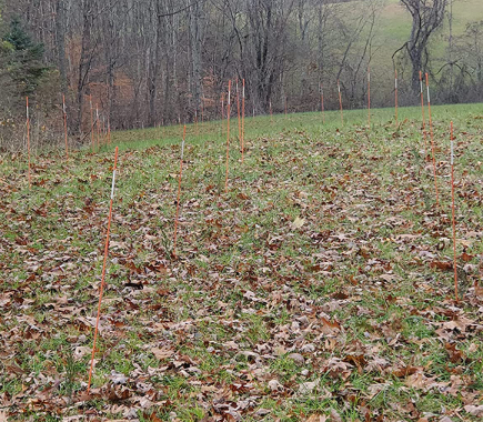 20 Pack 48" Reflective Driveway Markers - Anley Flags