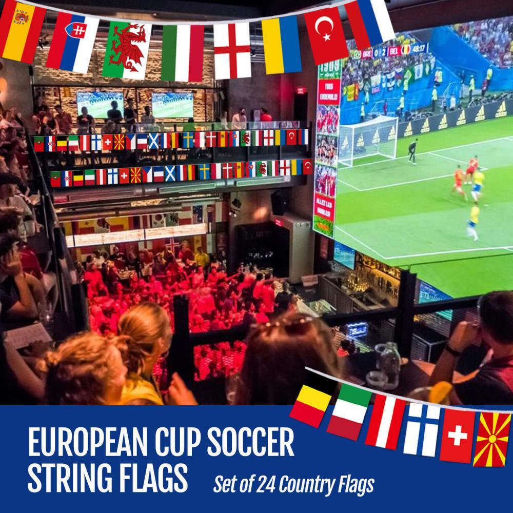 European Cup Championship String Flag - 25 Feet 24 Flags - Anley Flags
