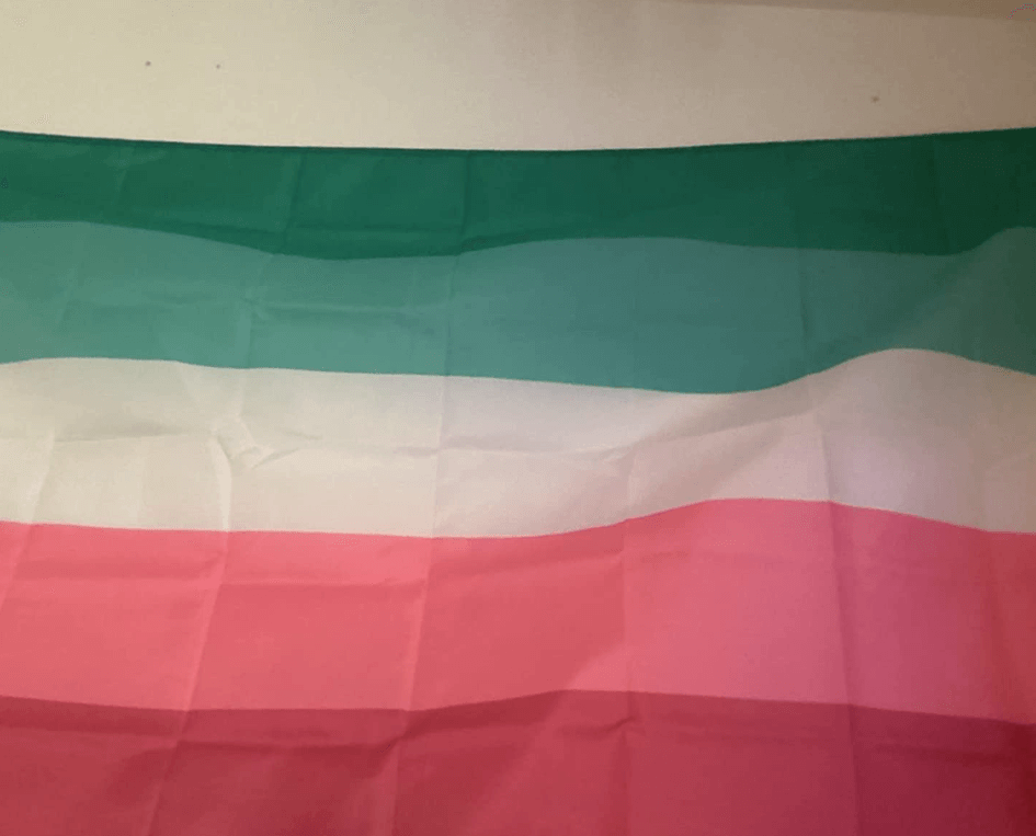 Fly Breeze 3x5 Foot Abrosexual Pride Flag - Anley Flags