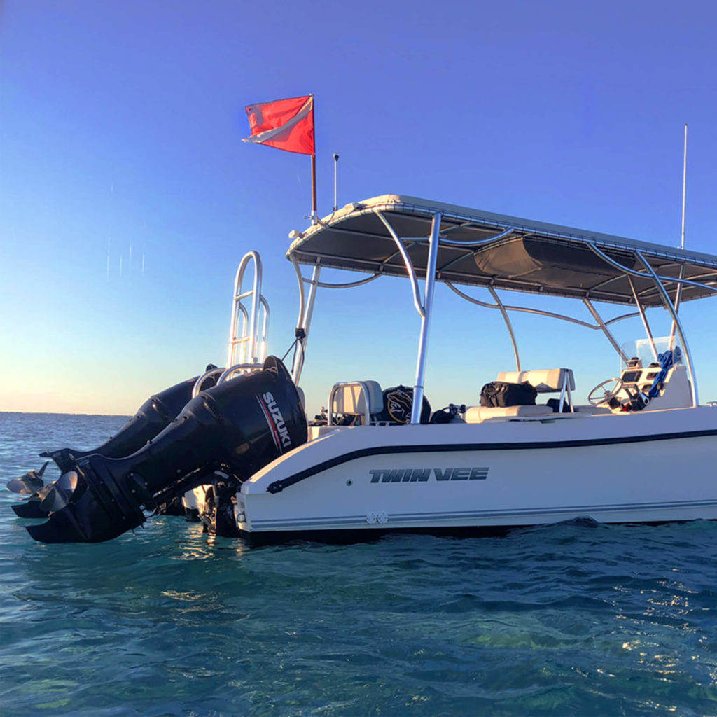 Diver Down Warning Flag with Removable Stiffening Pole 20 x 24 Inch ...