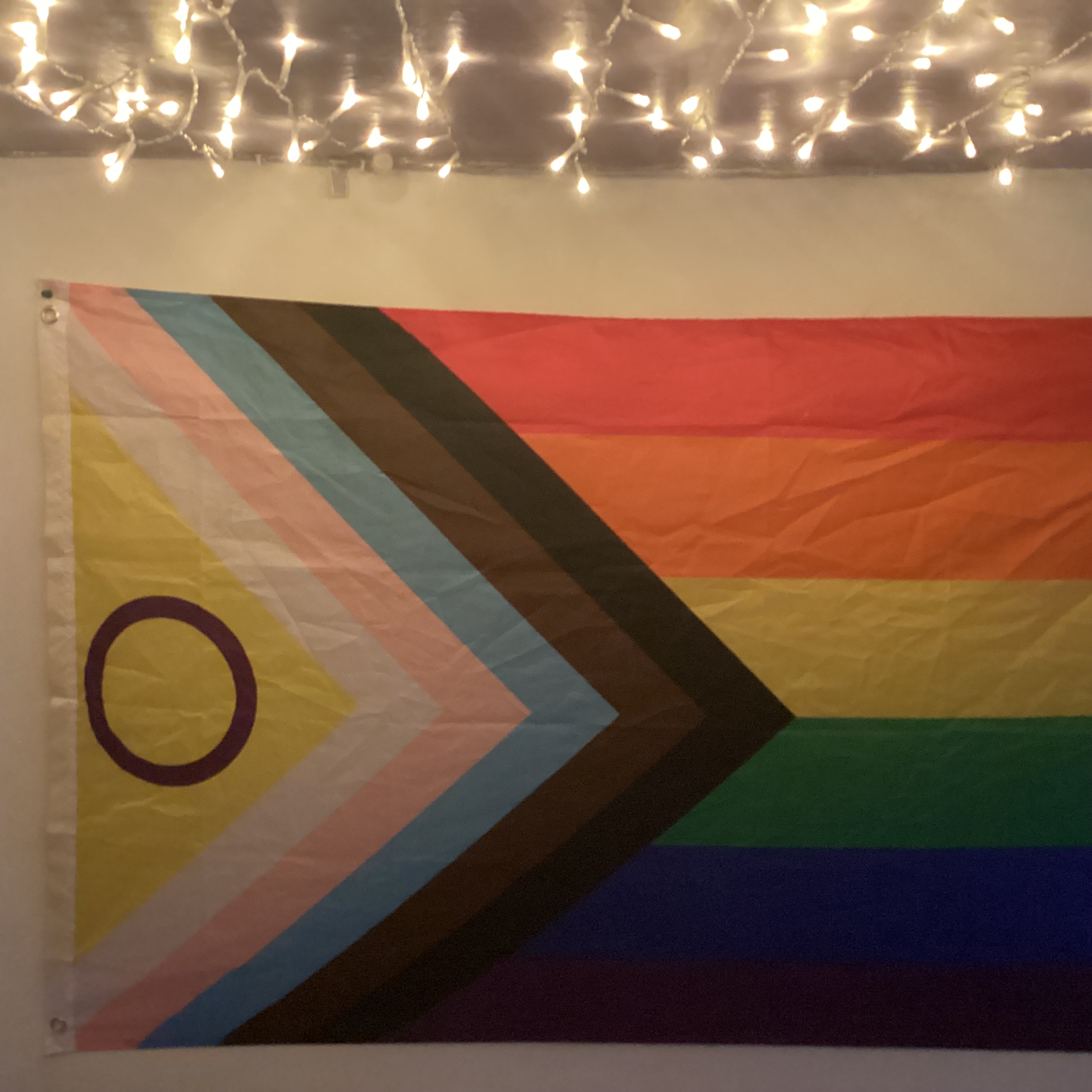 Fly Breeze 3x5 Foot LGBTQ+ New Intersex Inclusive Progress Pride Flag ...