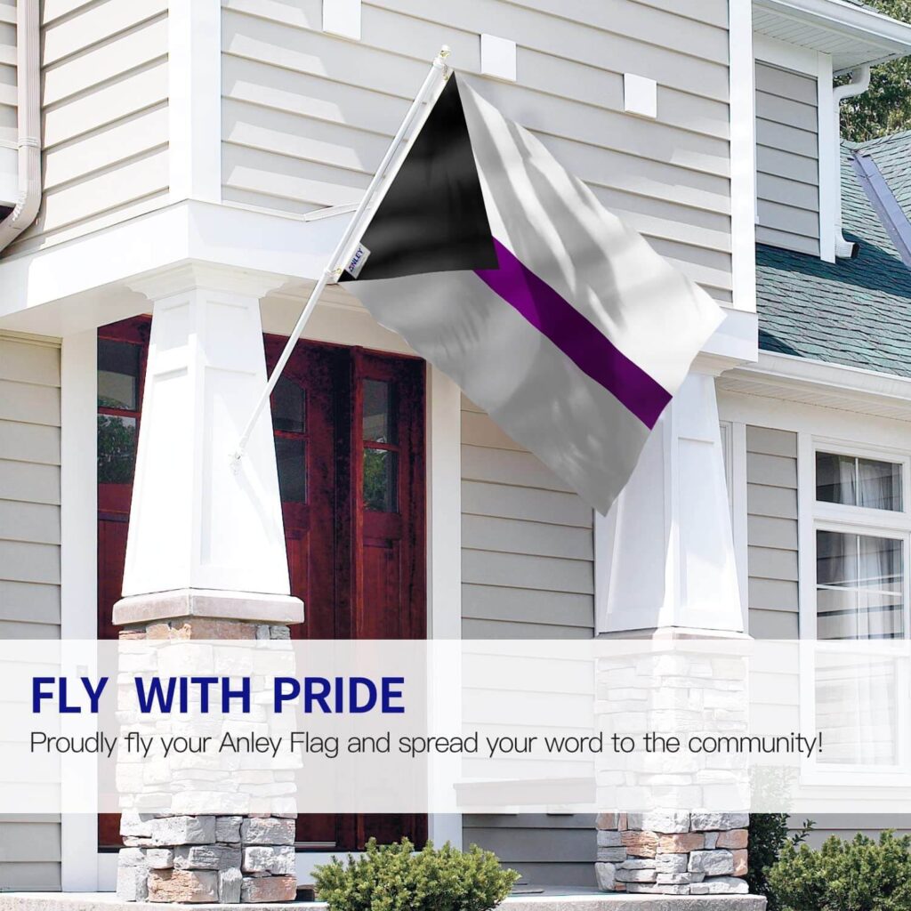 Fly Breeze 3x5 Foot Demisexual Pride Flag - Anley Flags