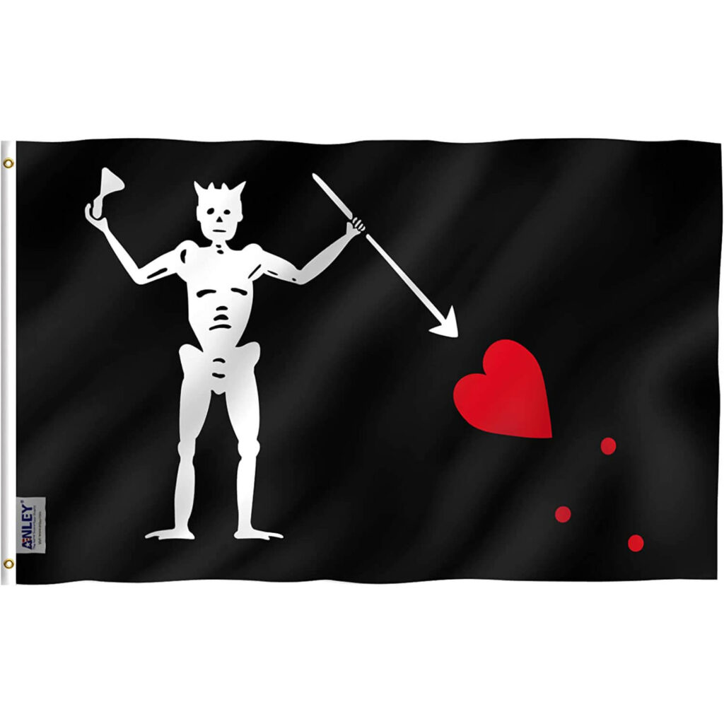 Fly Breeze 3x5 Foot Pirate Edward Teach Flag - Anley Flags