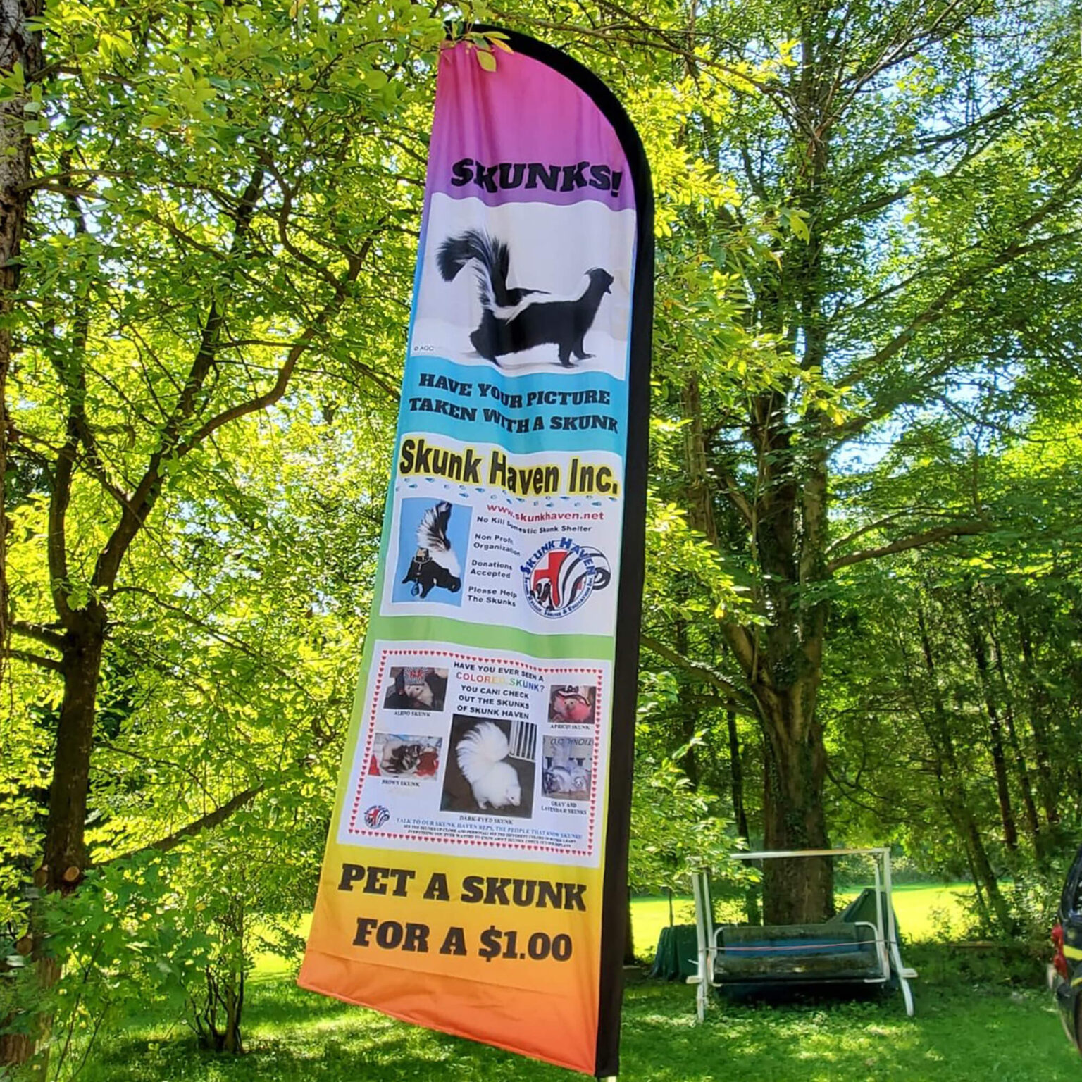 Custom Feather Flags & Banners at Sale - Anley