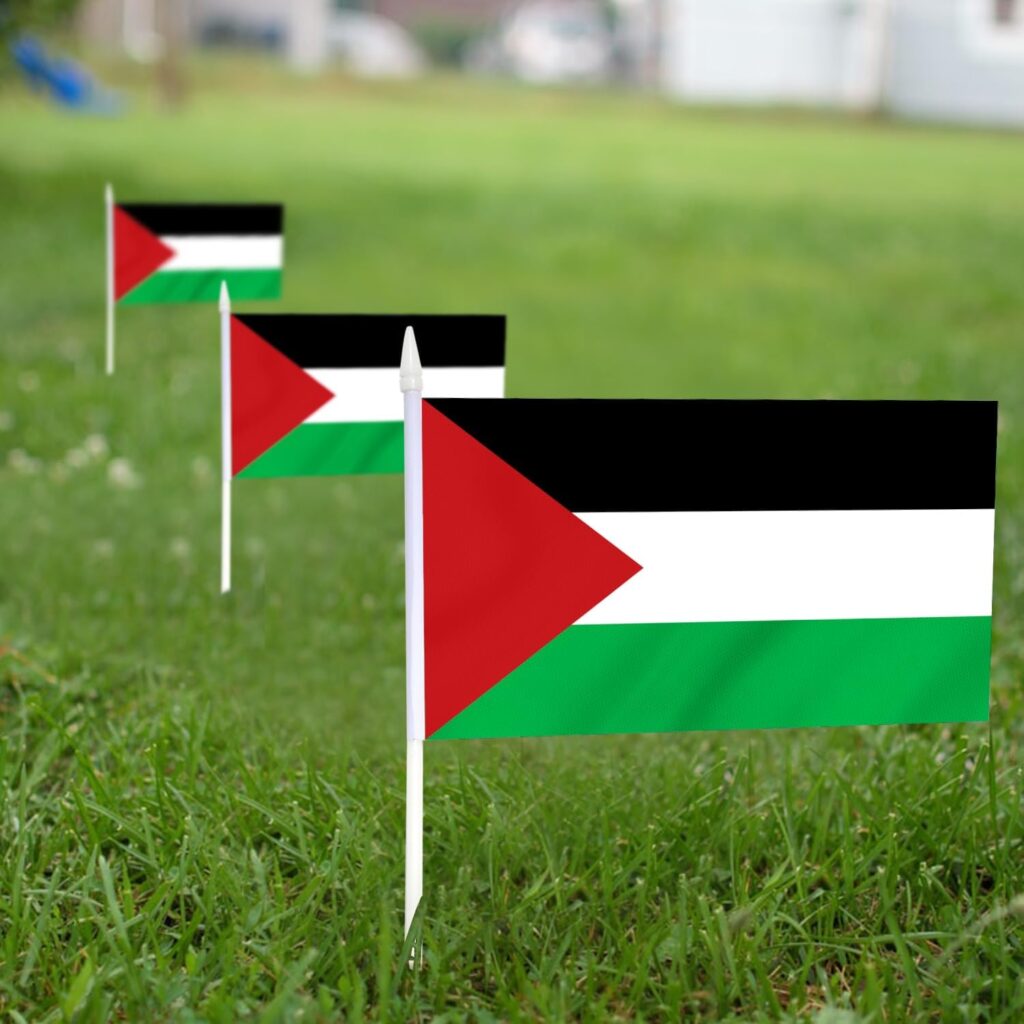 Palestine Stick Flags 5x8 inch (Pack of 12) - Anley Flags